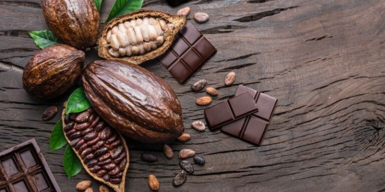 Tutoriel: Production artisanale de chocolat en 5 étapes